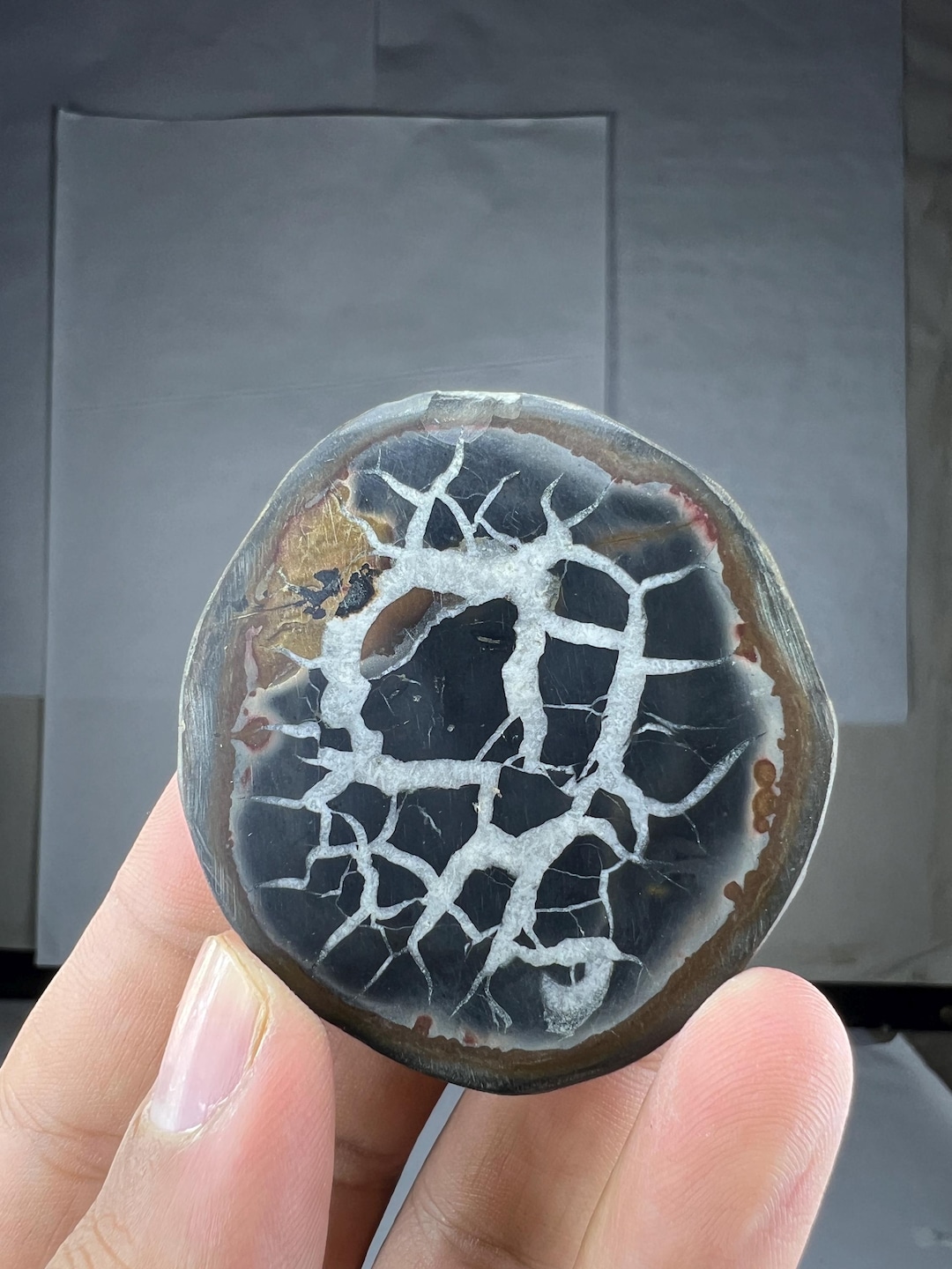 Polished Septarian Nodule Slice – Natural Lightning Stone, Unique ...