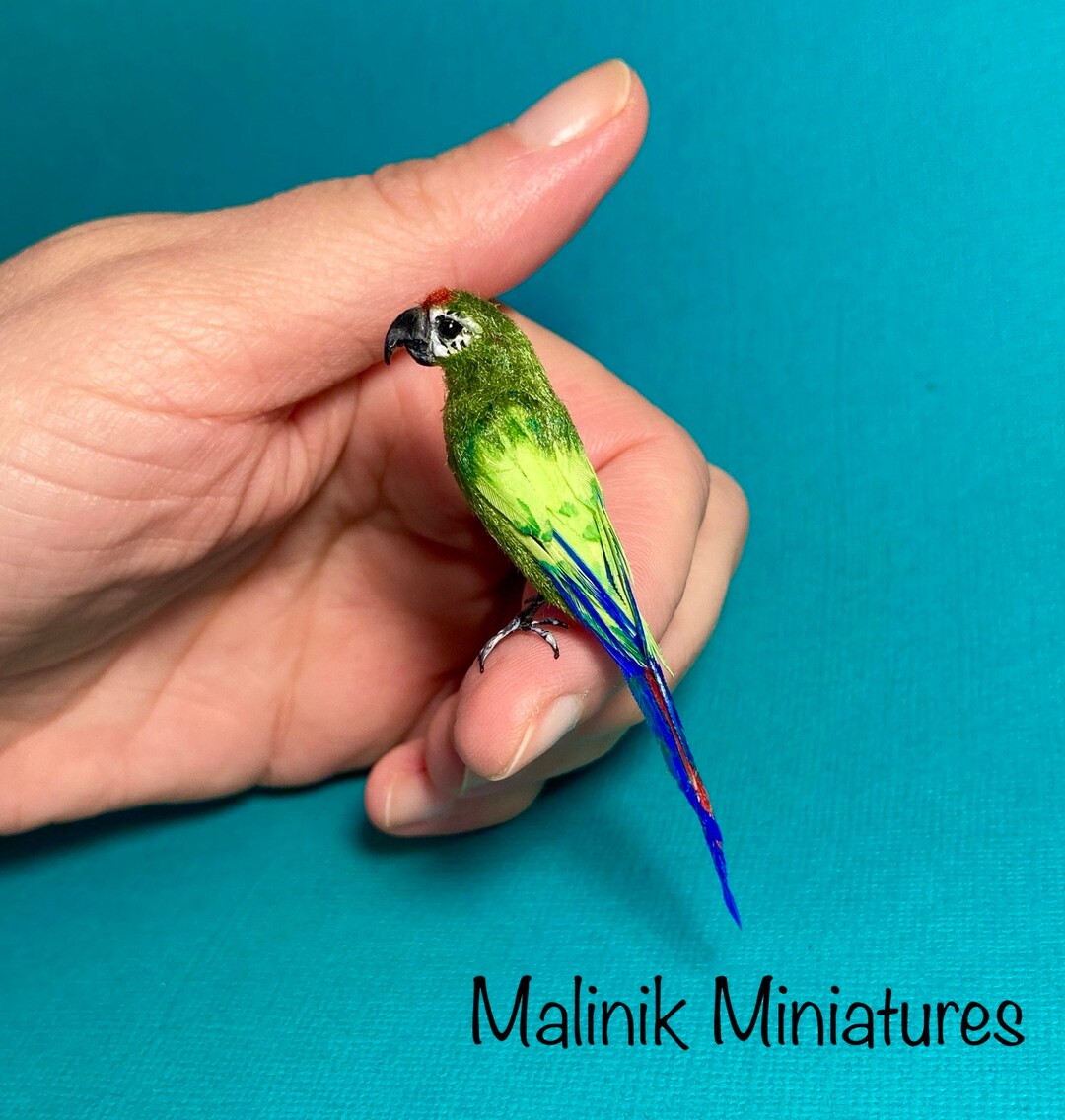 MADE TO ORDER Dollhouse Miniature Great Green Macaw Parrot Bird Malinik ...