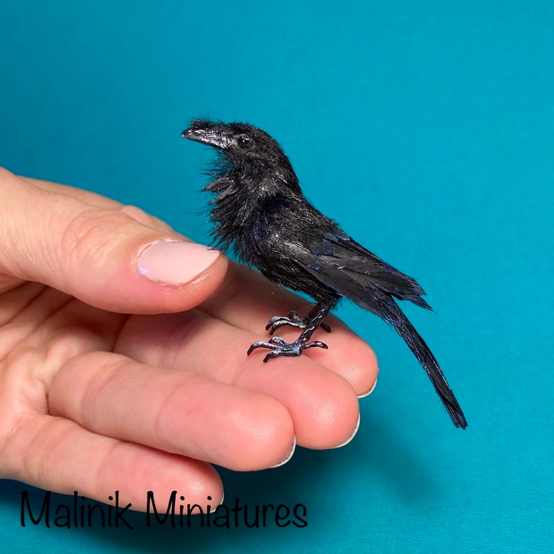 Miniature Crow - Etsy