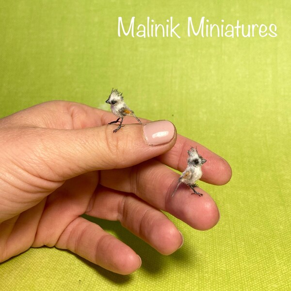 Tufted Titmouse - Etsy