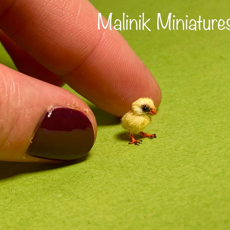 Miniature Chickens - Etsy