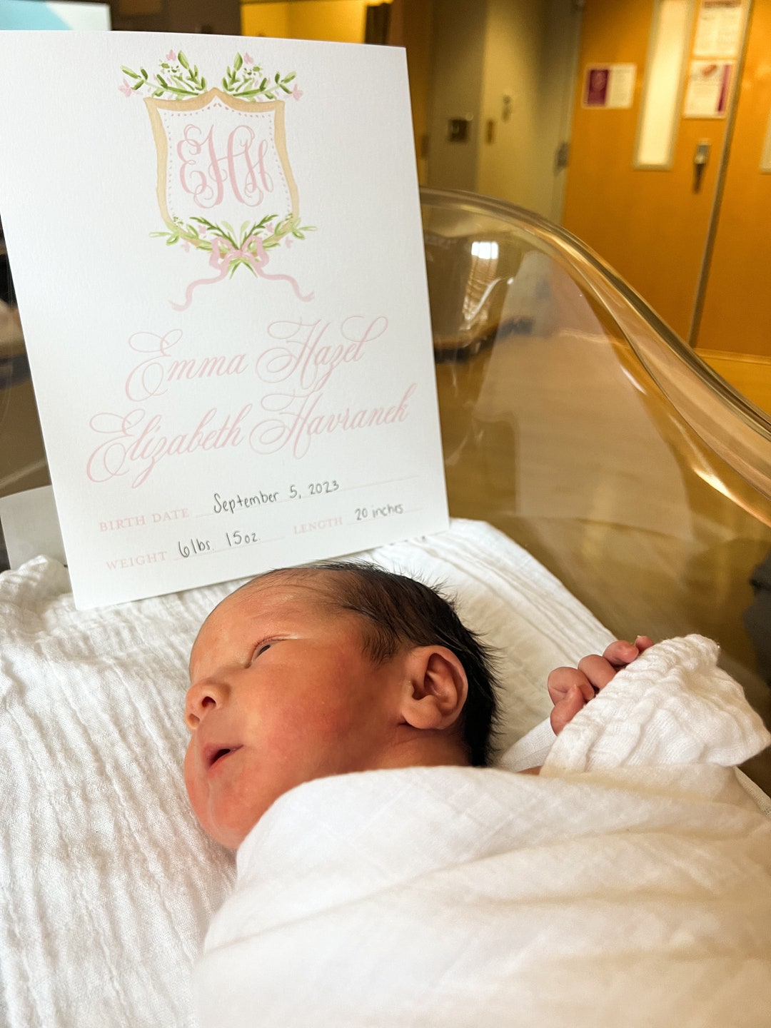 Pink Floral Crest Newborn Bassinet Signage // Welcome Baby // Girl ...