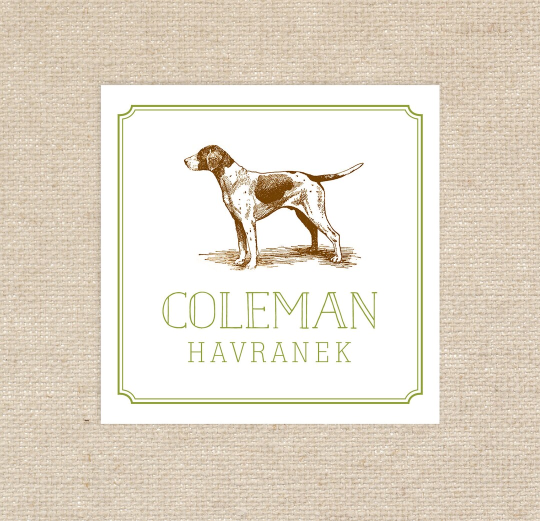 25 Bird Dog 3"x3" Enclosure Cards - Etsy