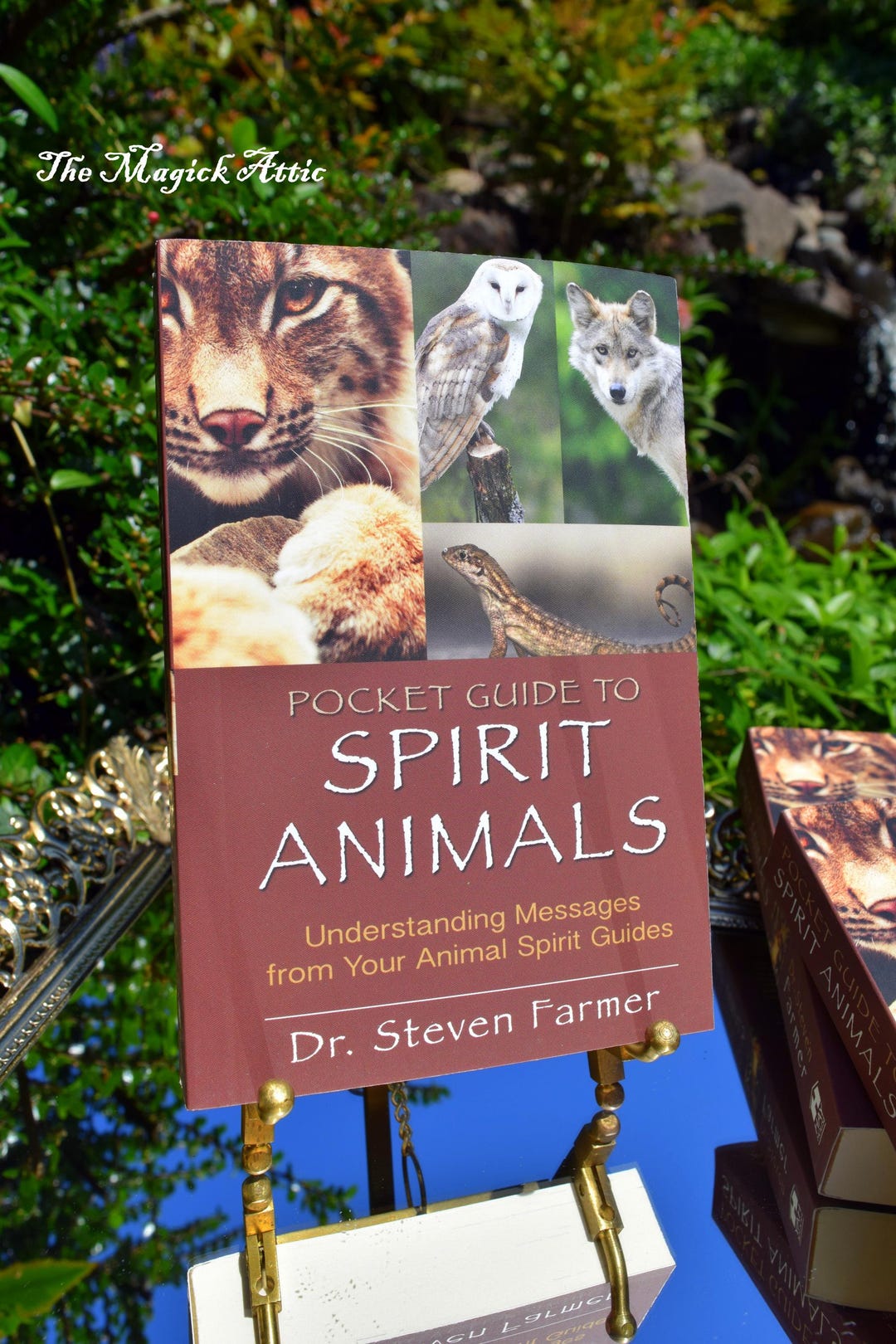 Pocket Guide/book to Spirit Animals ~ Understanding Messages From Your ...
