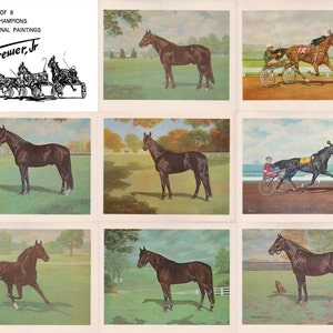 Portfolio of 8 Harness Champions From Original Paintings by Allen F ...