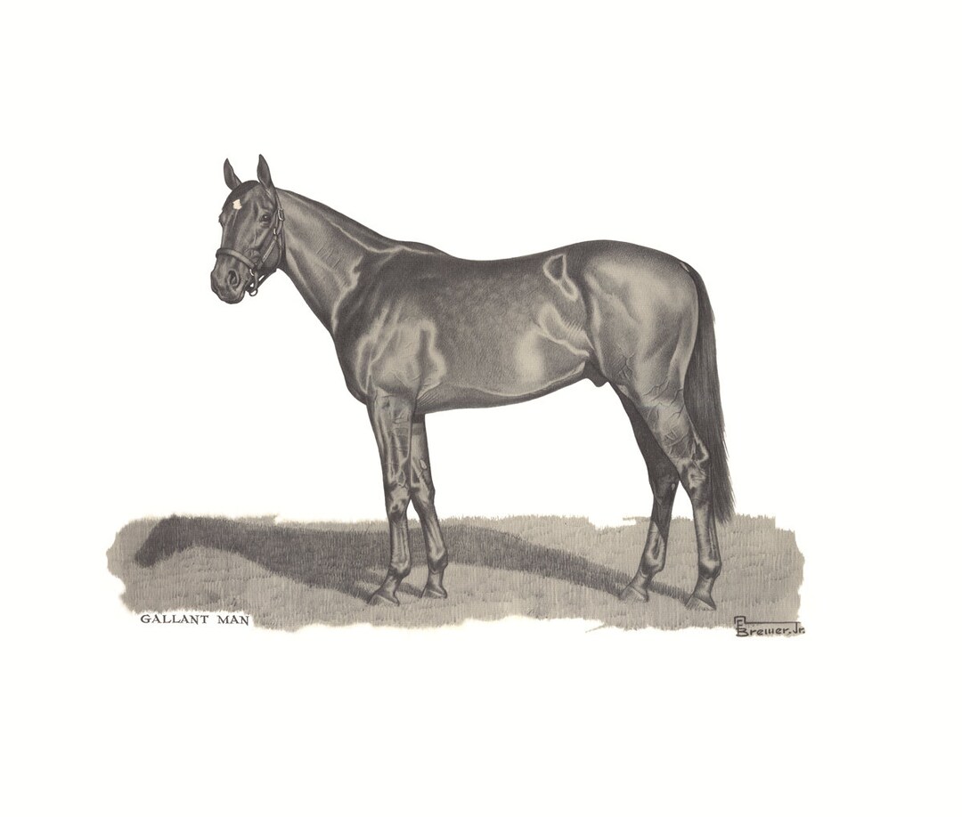 GALLANT MAN Thoroughbred Racehorse by Allen F. Brewer Jr. - Print Size ...
