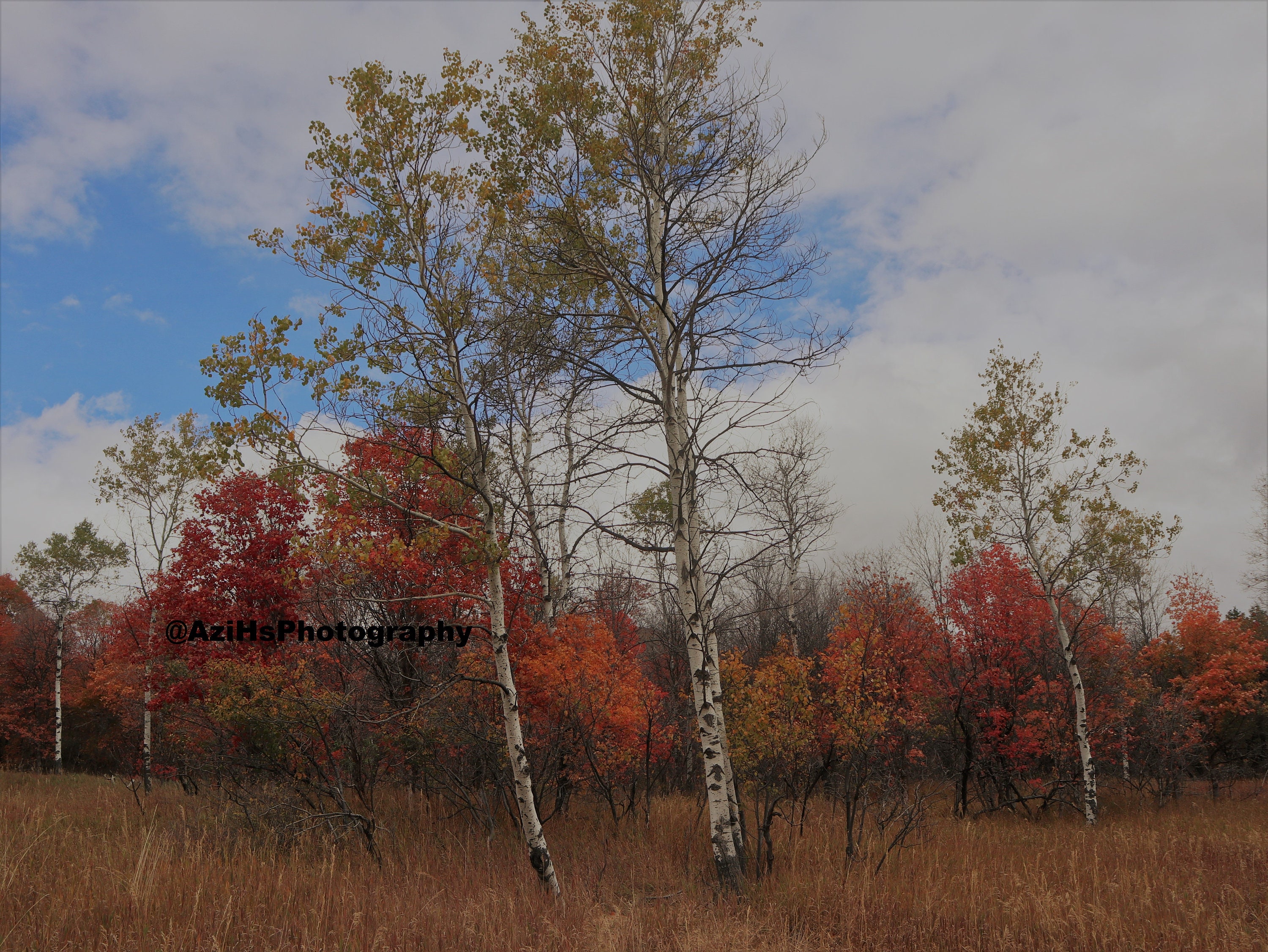 10x8 Lustre Paper Print Original Picture Photo Wall Art Decor ...