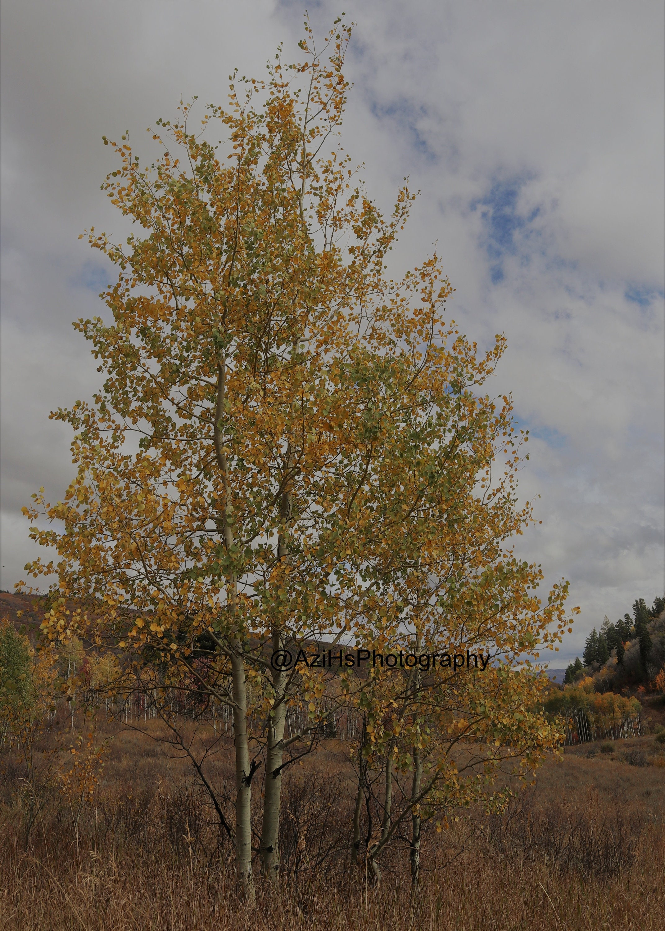 10x8 Lustre Paper Print Original Picture Photo Wall Art Decor ...