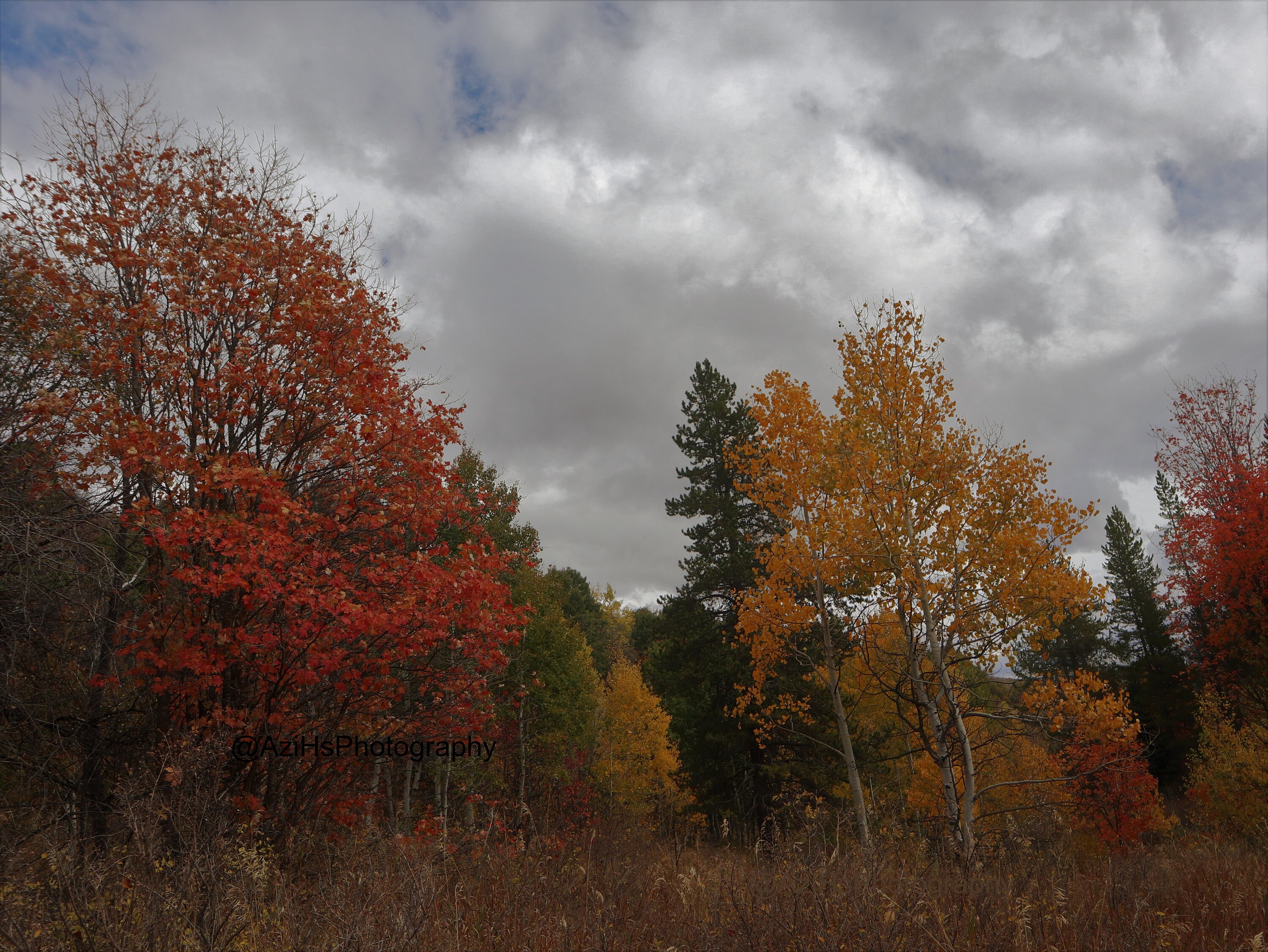 10x8 Lustre Paper Print Original Picture Photo Wall Art Decor ...