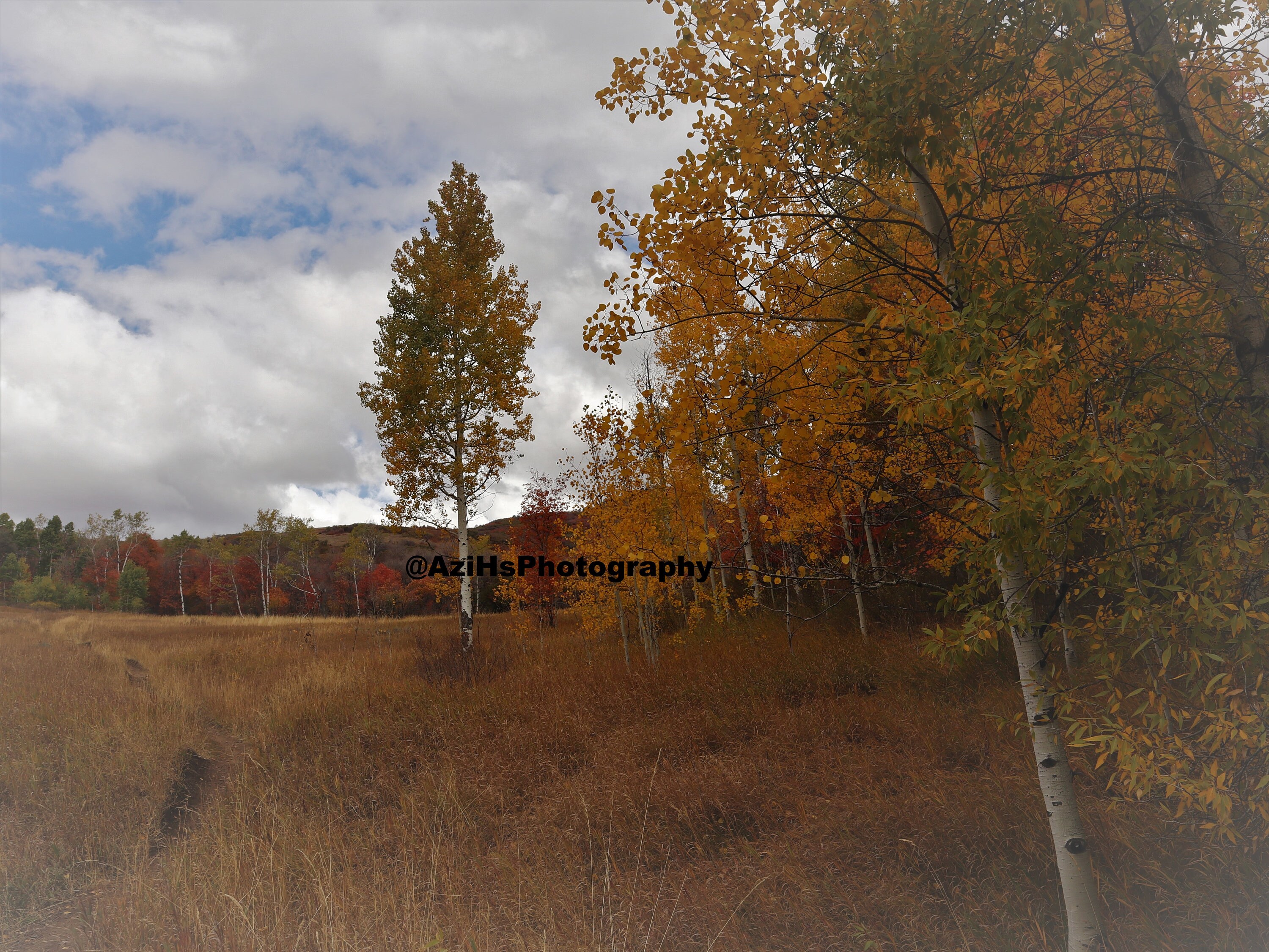 10x8 Lustre Paper Print Original Picture Photo Wall Art Decor ...