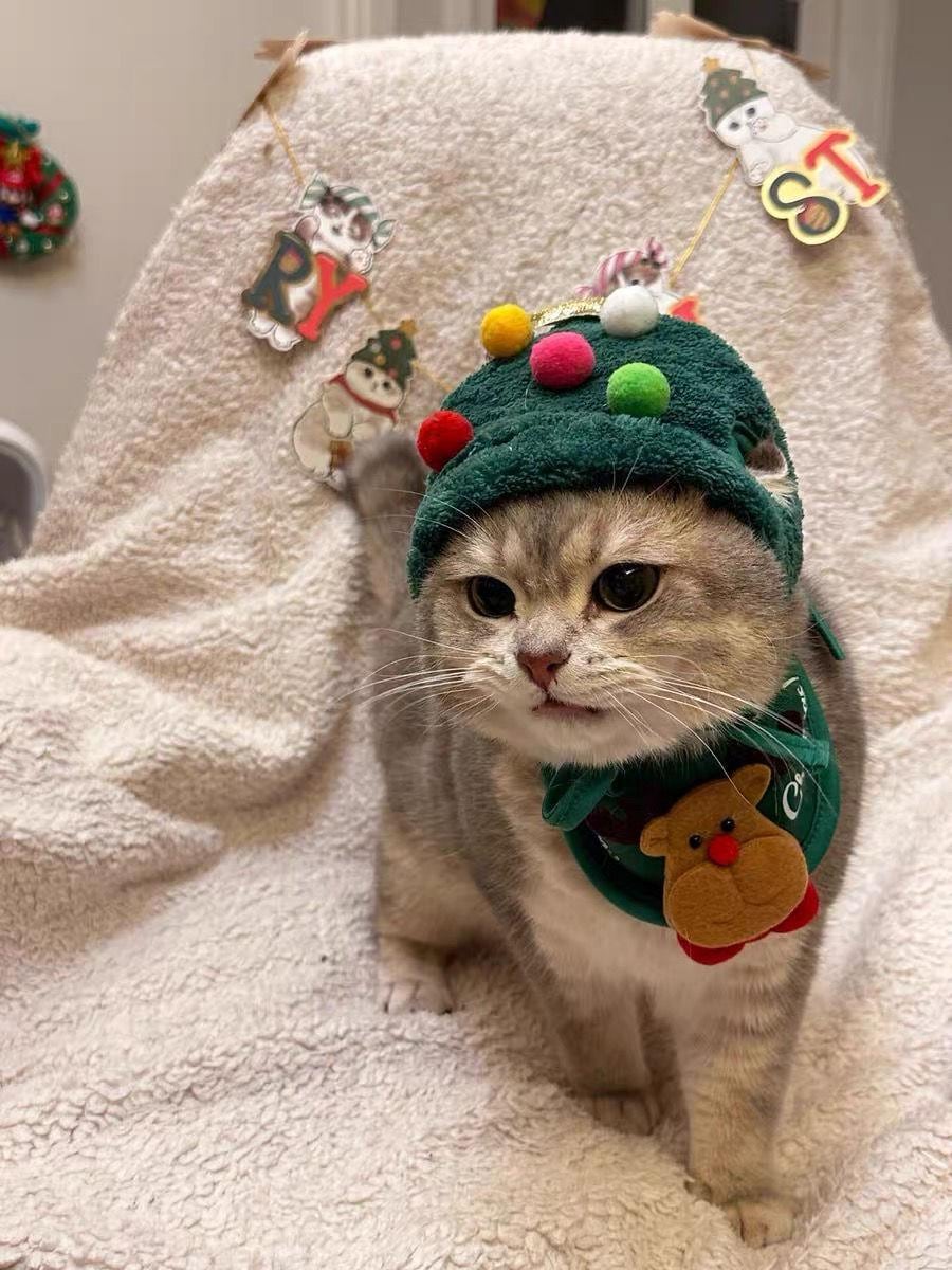 Pet Christmas Tree Hats, Reindeer Drool Bib, Dog Wig, Cat Outfit ...