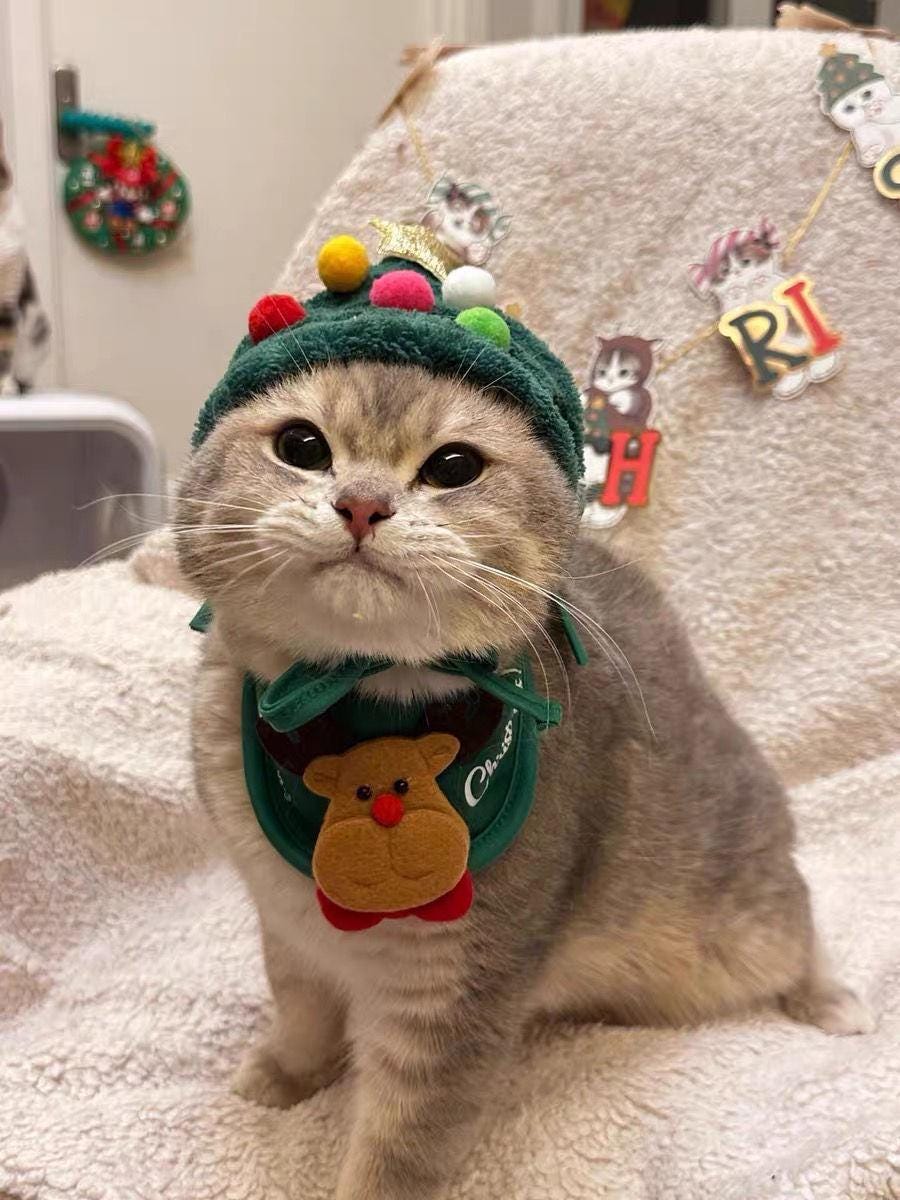 Pet Christmas Tree Hats, Reindeer Drool Bib, Dog Wig, Cat Outfit ...