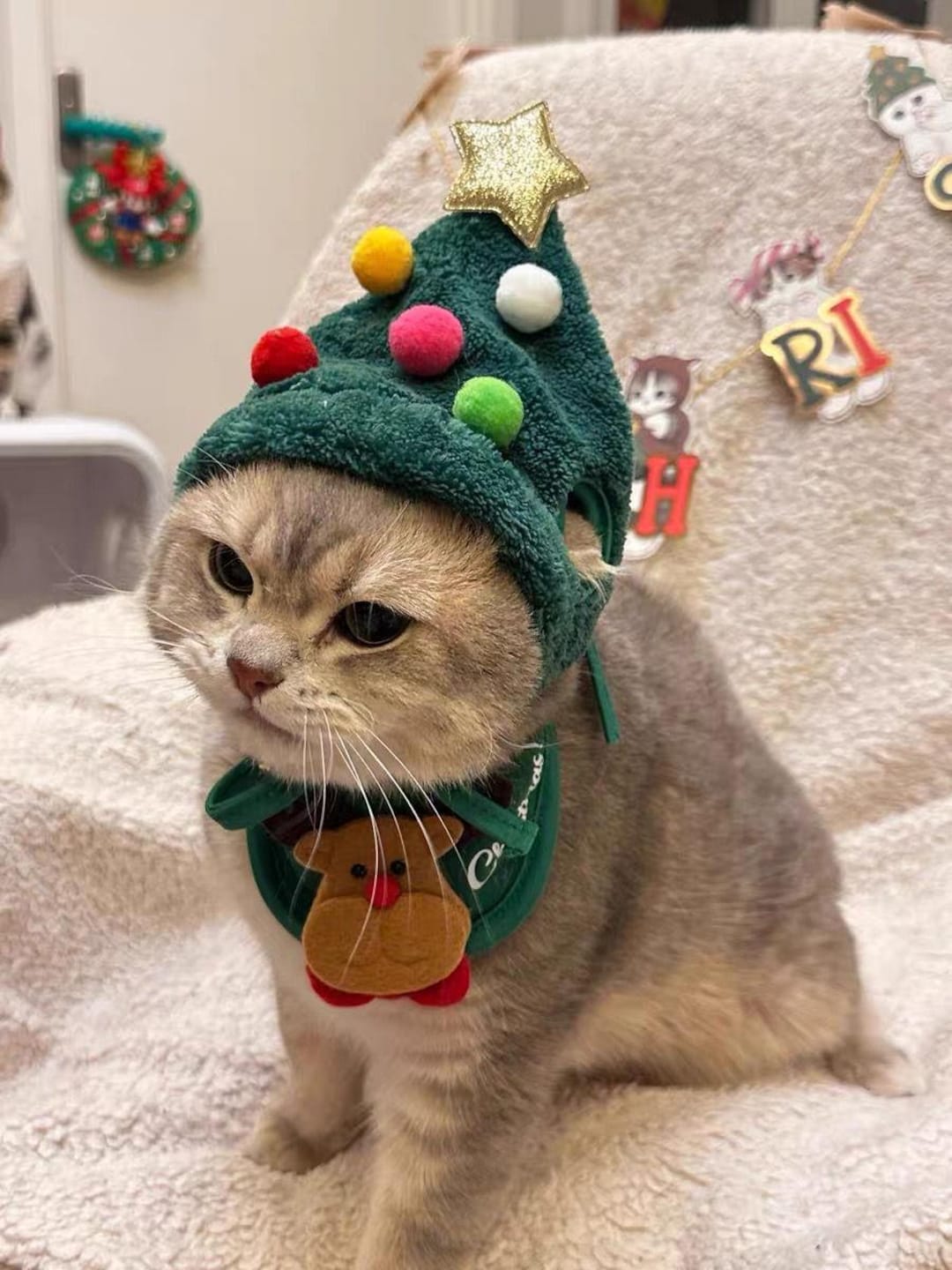 Pet Christmas Tree Hats, Reindeer Drool Bib, Dog Wig, Cat Outfit ...