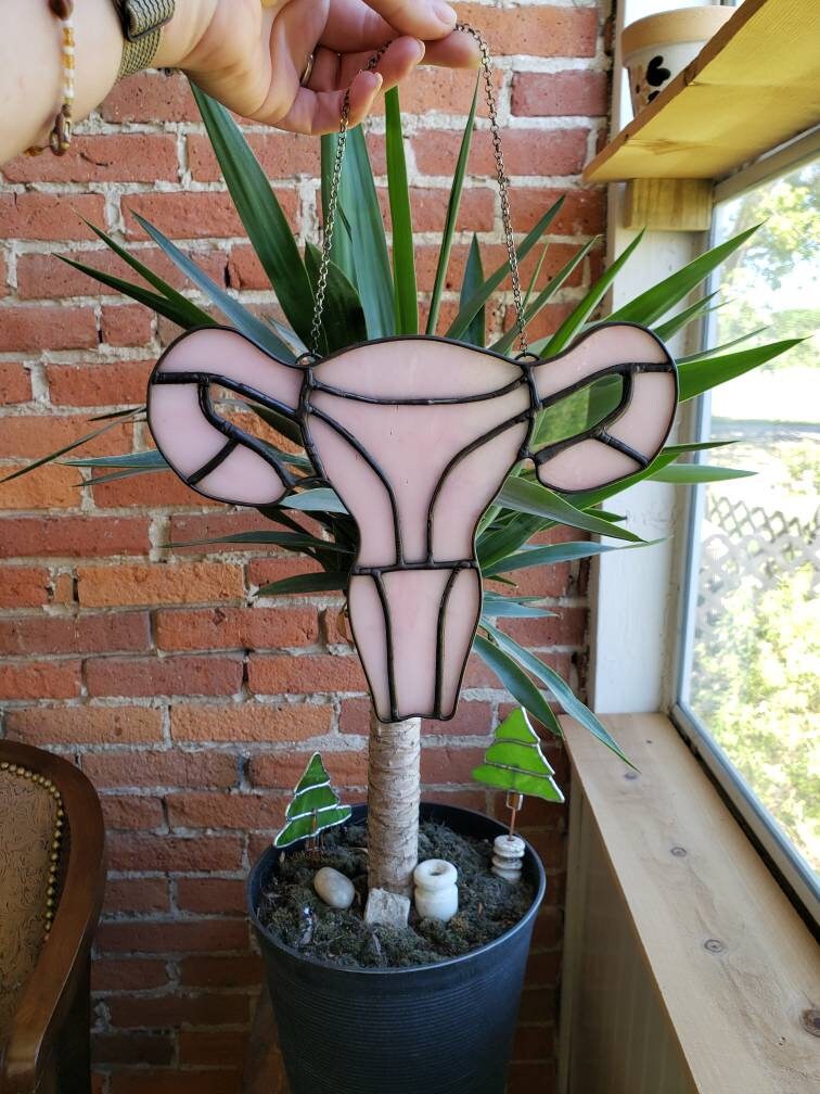 Reproductice System Stained Glass Human Anatomy Art Obgyn Roe V Wade