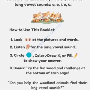 Long Vowel Sound Phonics Booklet | Printable Worksheets - Etsy