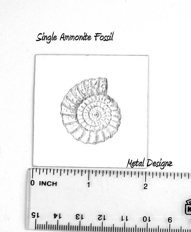 Laser Cut Texture Paper - Rolling Mill Pattern - Ammonite Fossil ...