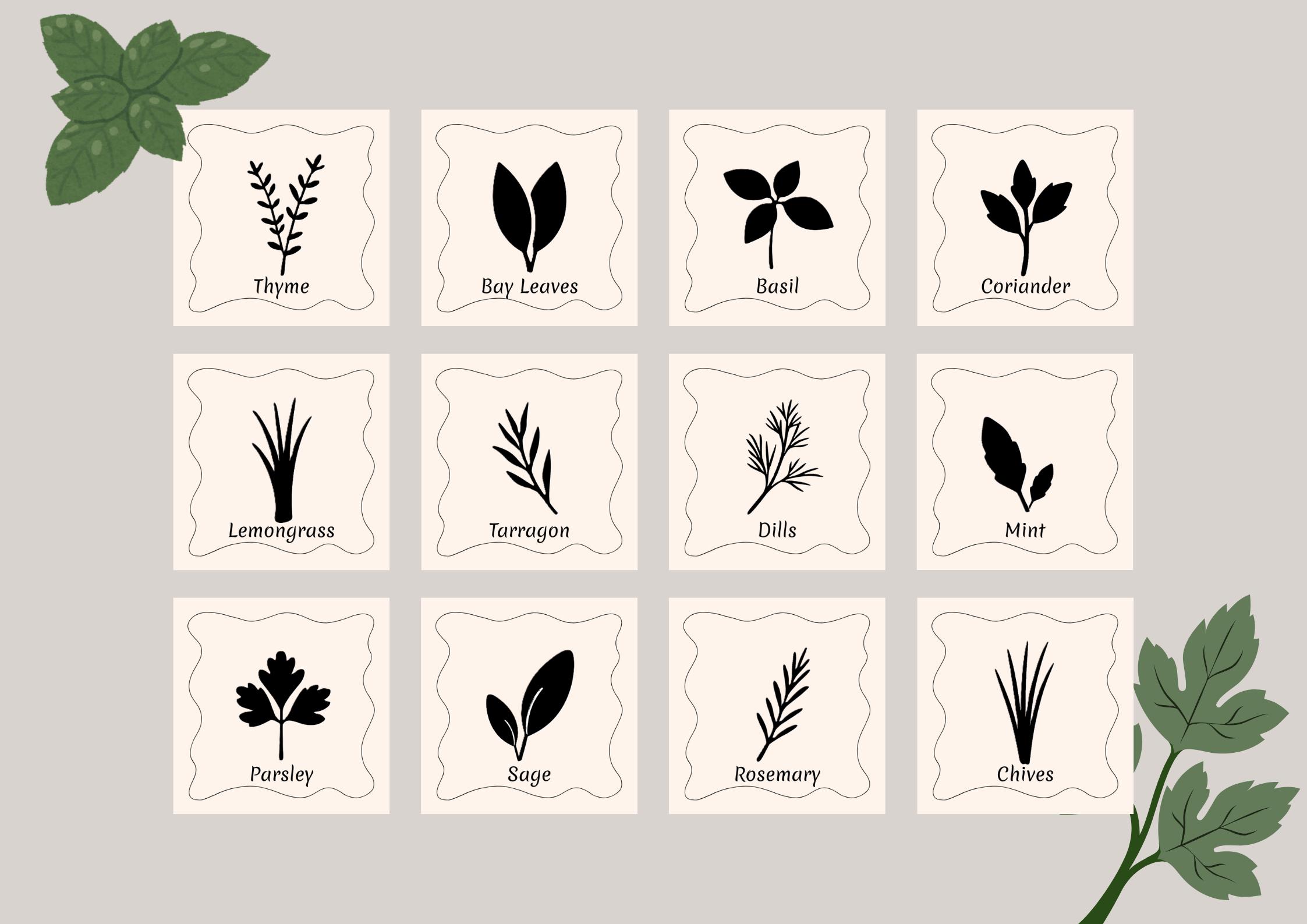 Minimalist Herb Labels | Printable Kitchen Jar Stickers | 12 Black ...
