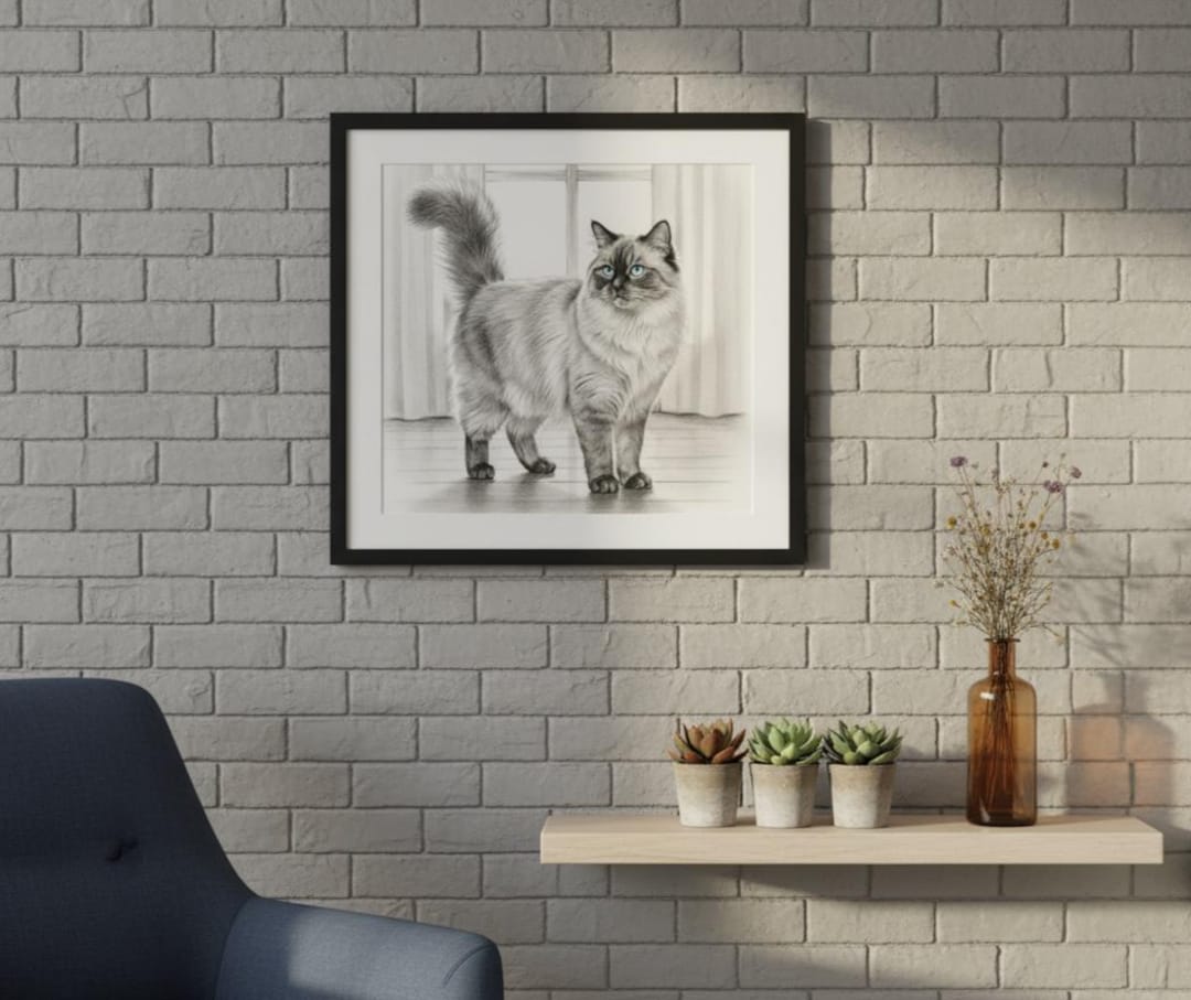 Ragdoll Cat Digital Sketch | Modern Line Art Print | Black and White ...