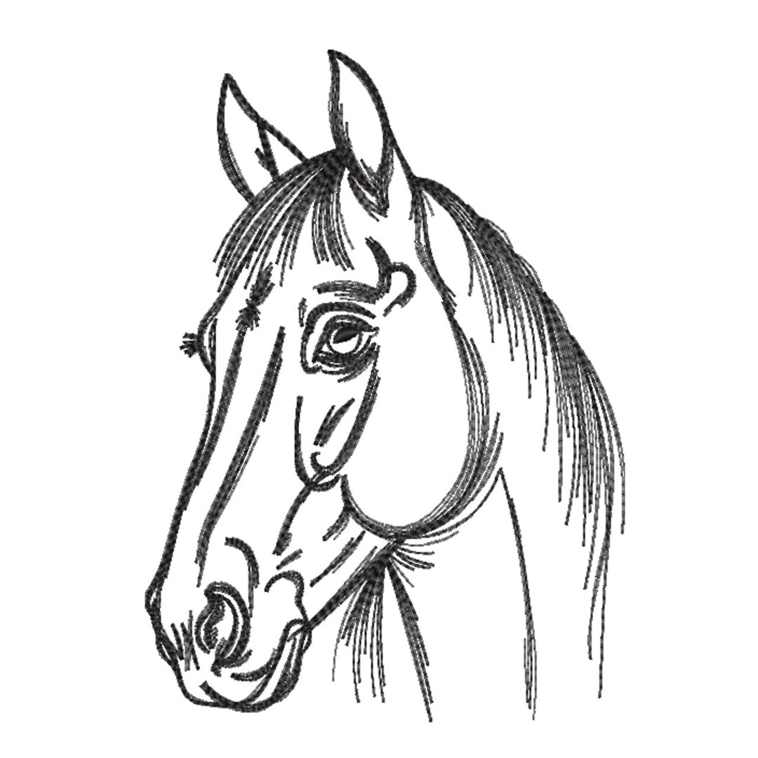 Sketch Horse Head Embroidery Design– Single-color Line Embroidery File ...