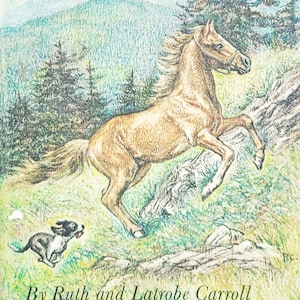 1963 Runaway Pony, Runaway Dog by Ruth and Latrobe Carroll - Vintage ...
