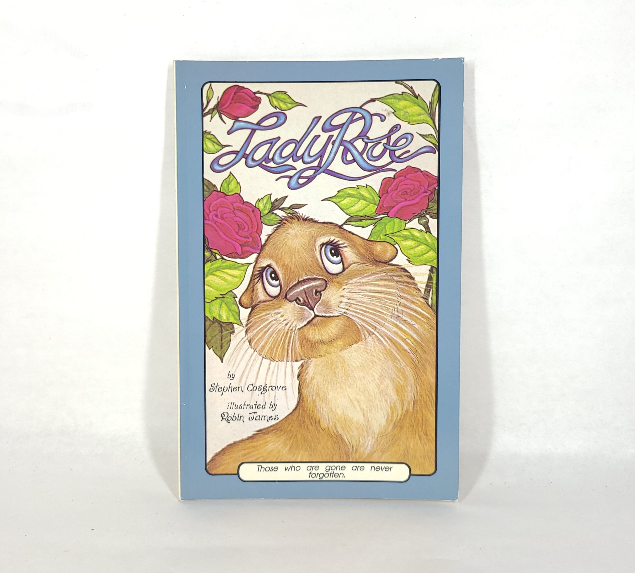 Serendipity Books Robin James