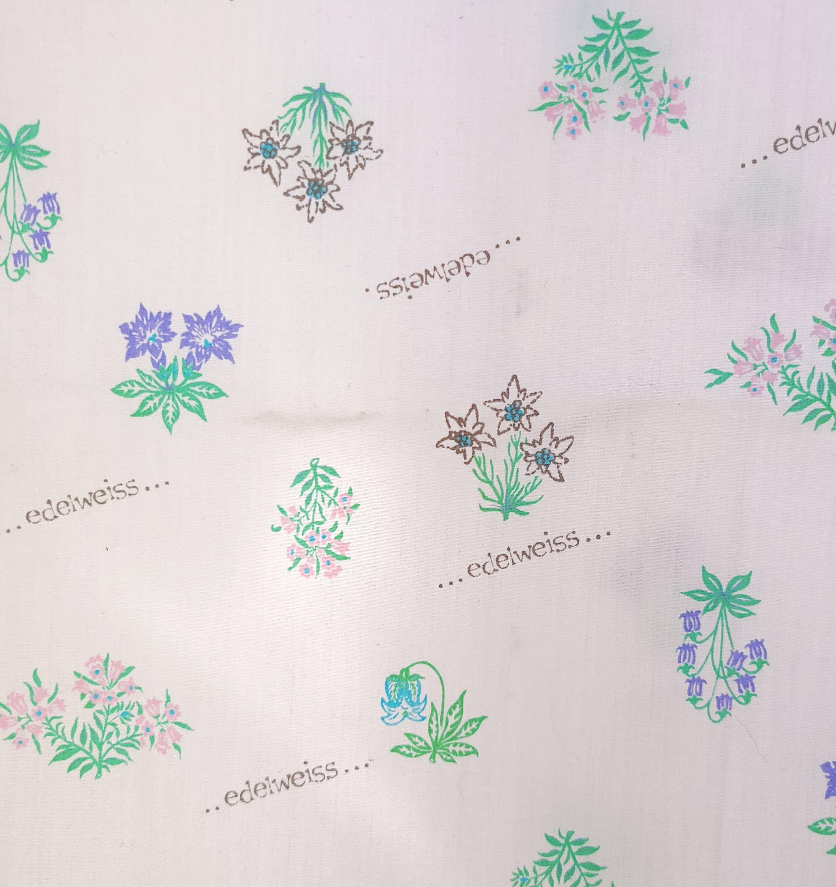 Vintage Edelweiss Print Curtain Panels 2 Pieces 21 X 33 | Etsy