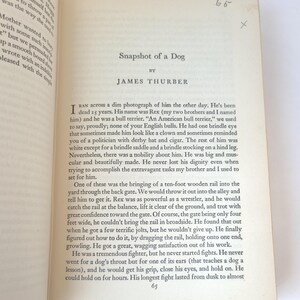 Vintage 1943 the Fireside Book of Dogs Edited by Jack Goodman With an ...