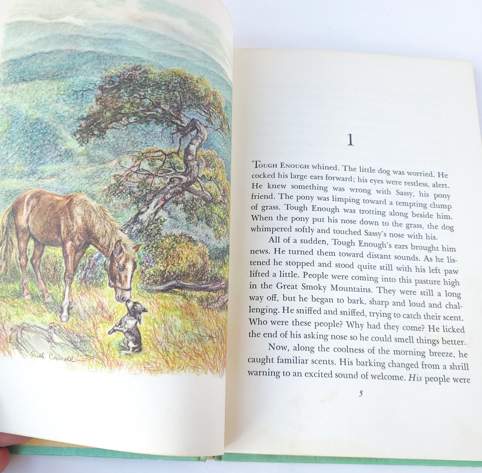 1963 Runaway Pony, Runaway Dog by Ruth and Latrobe Carroll - Vintage ...