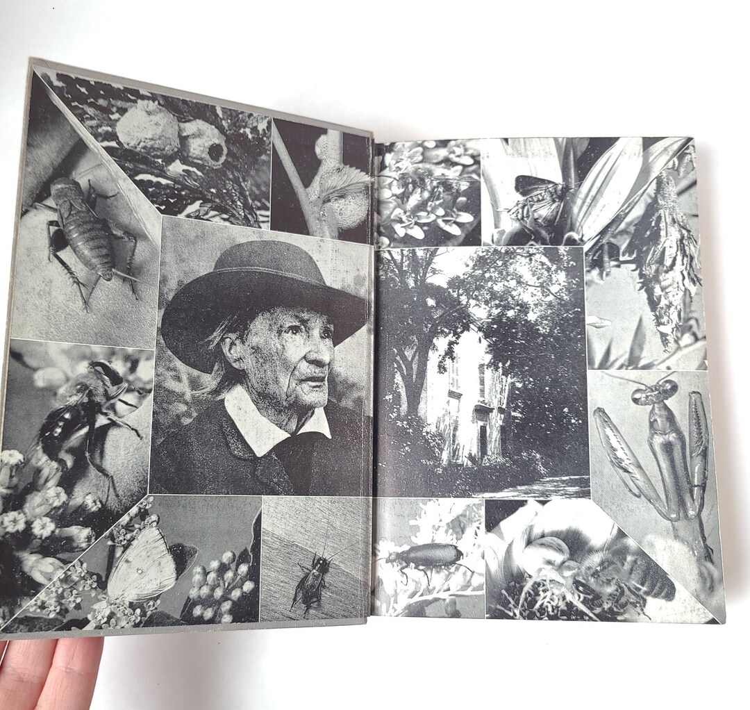 1949 the Insect World of J. Henri Fabre - Vintage Forties Hardcover ...