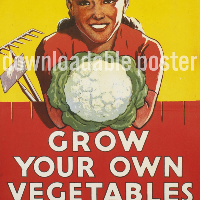 Dig for Victory Poster - Etsy UK