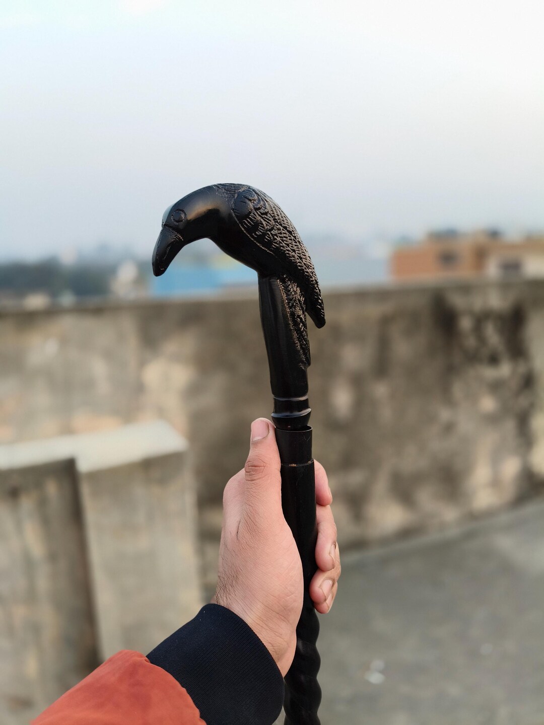 Rare Victorian RAVEN Handcrafted Walking Stick Cane-a7 Steampunk Handle ...