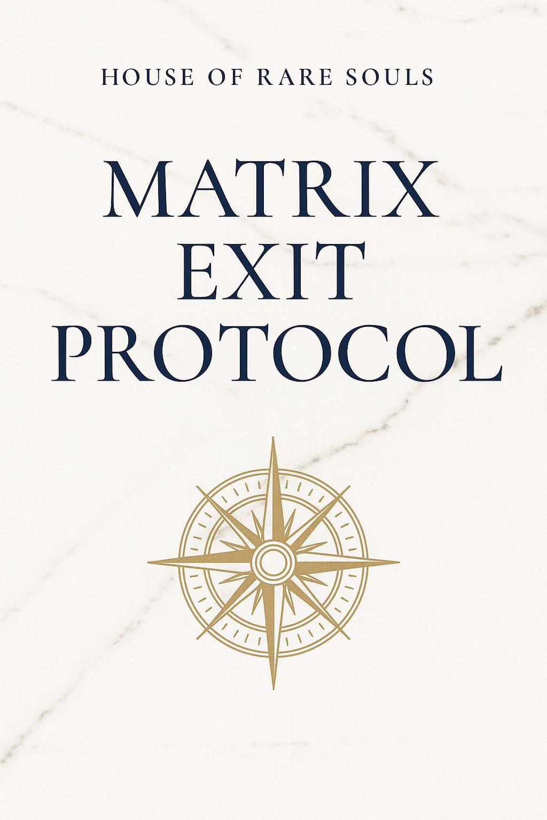 Matrix Exit Protocol | Rare Souls Guide to Life After Death | Digital ...
