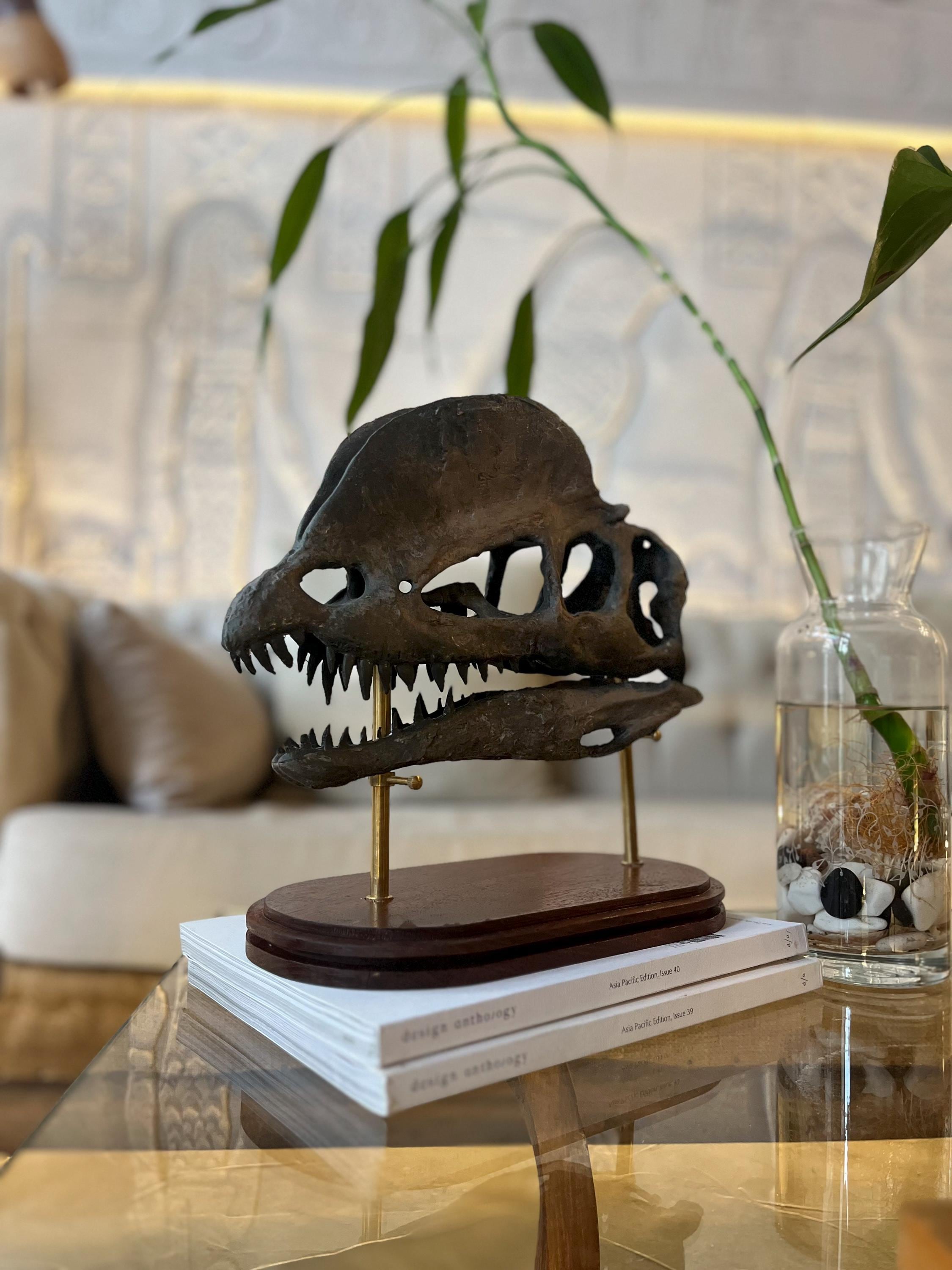Dilophosaurus Skull Replica – Realistic Dinosaur Fossil Replica – 3D ...