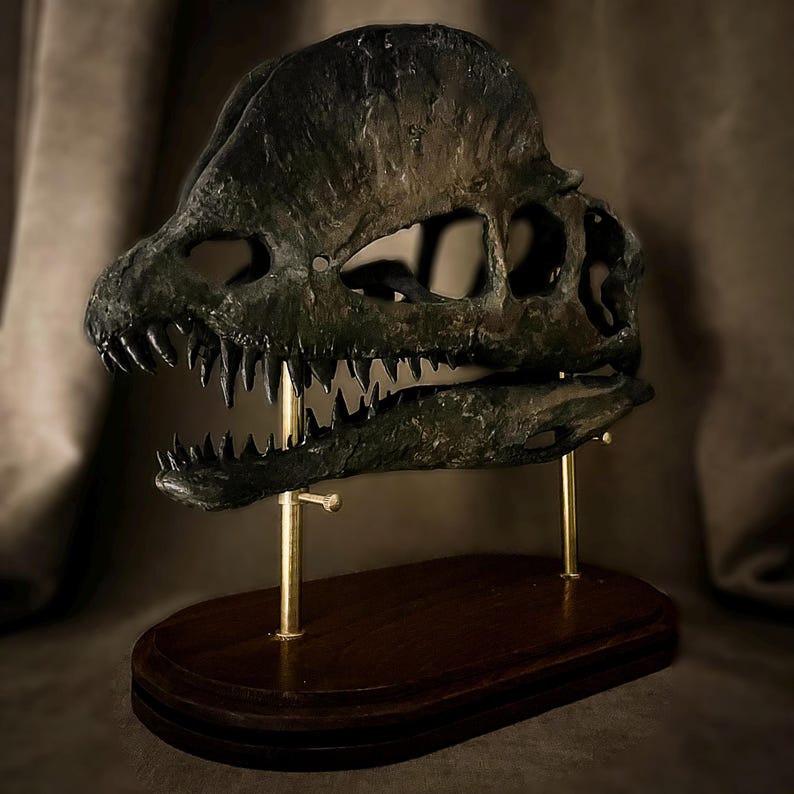 Réplica de crânio de Dilophosaurus - Réplica realista de fóssil de ...