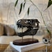 Tyrannosaurus Rex Skull Replica – Realistic Dinosaur Fossil Replica ...