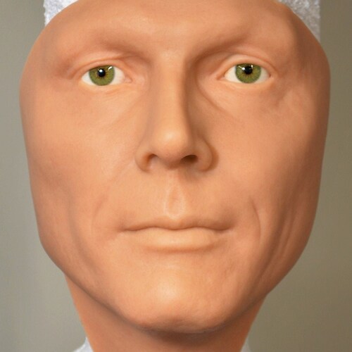 Adam West Display Face With or Without Eyes - Etsy