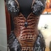 Brown Dragon Scalemail Corset - Etsy