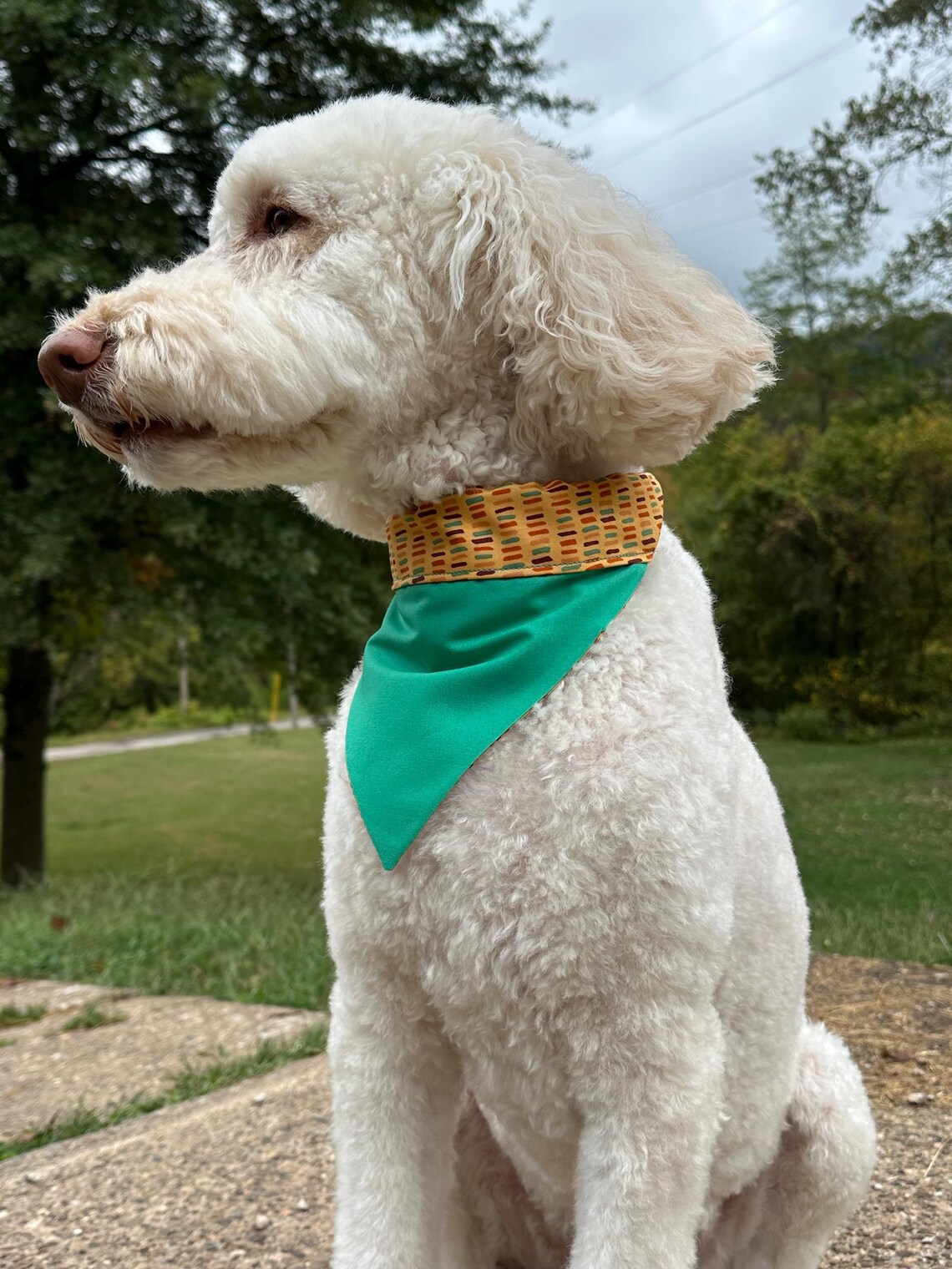 Over the Collar Dog Bandana Made With Premium Moda Fabrics Cotton ...