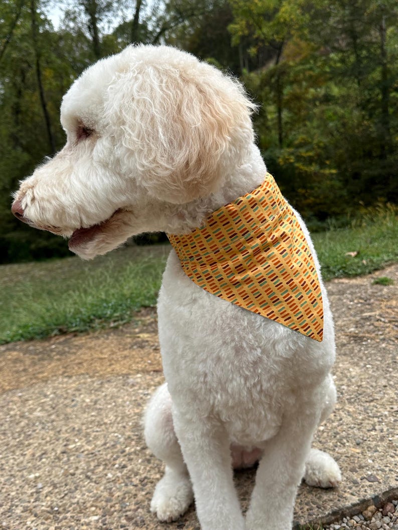 Over the Collar Dog Bandana Made With Premium Moda Fabrics Cotton ...