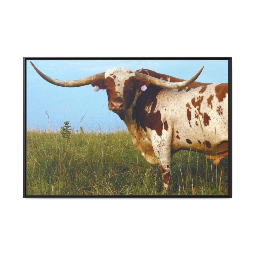Texas Longhorn Portrait Matte Canvas Framed | Rustic Cattle Wall Art ...