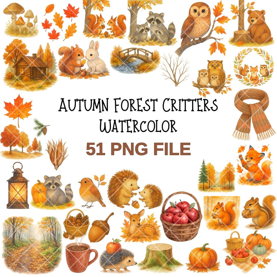 Autumn Forest Critters Clipart | Watercolor Fall Animals PNG | 51 ...