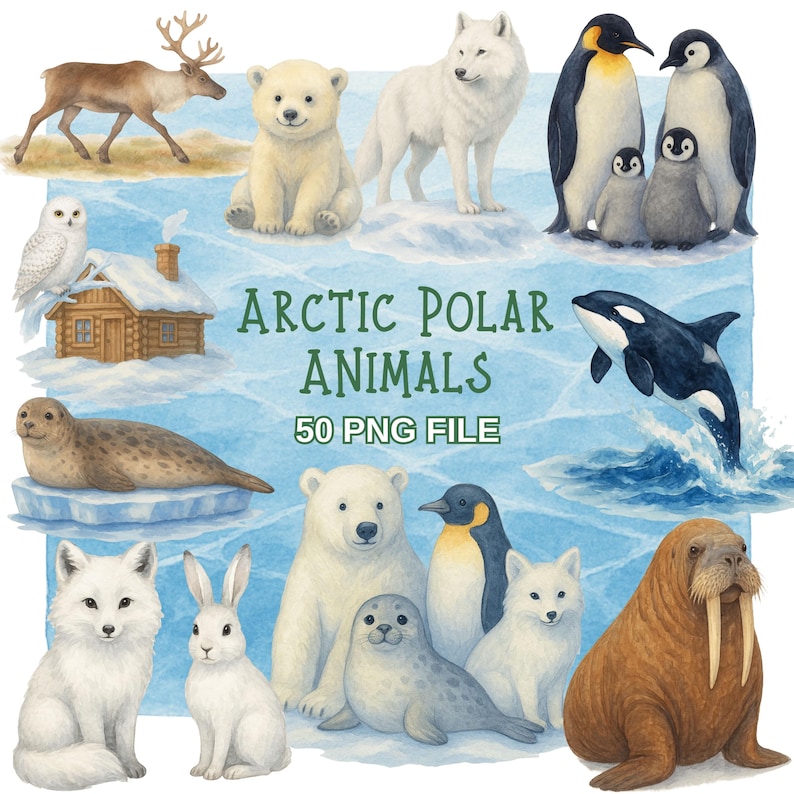 Arctic Polar Animals Clipart | 50 PNG Watercolor Wildlife, Polar Bear ...