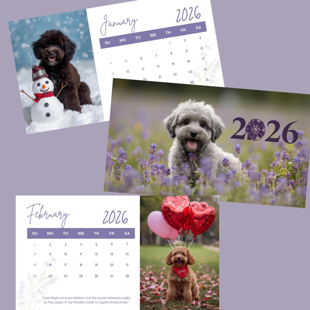 Toy Poodle 2026 Calendar: Illustrated Dog Lover Gift (digital Download ...