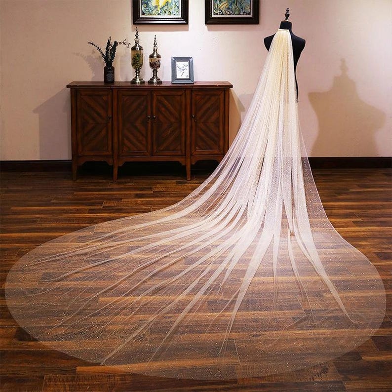 Glittering Starlight Veil With Long Cathedral Train, Single or Double ...