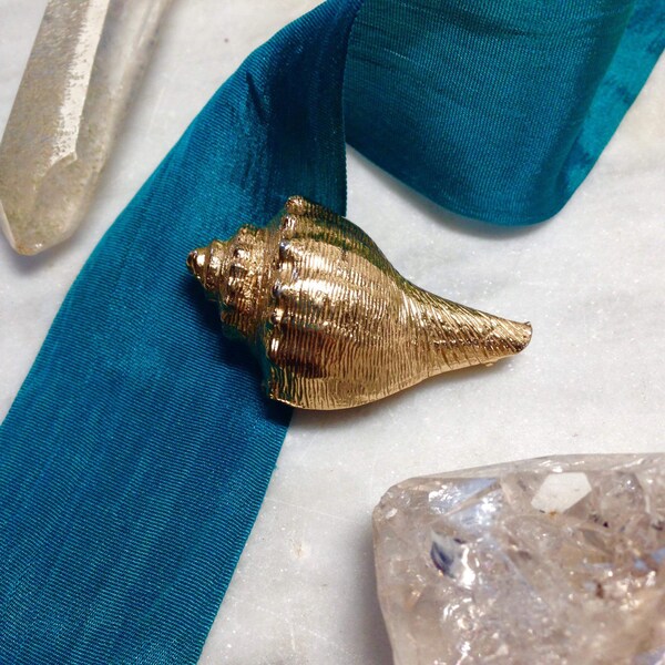 Seashell Brooch - Etsy