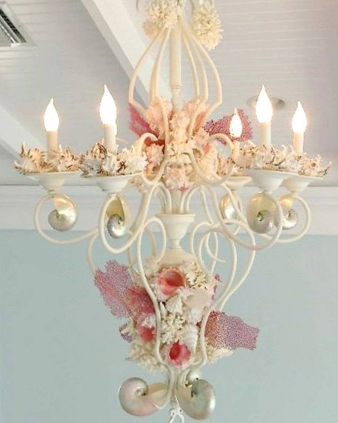 Seashell Chandelier. Custom Seashell Chandelier. Seashell and - Etsy