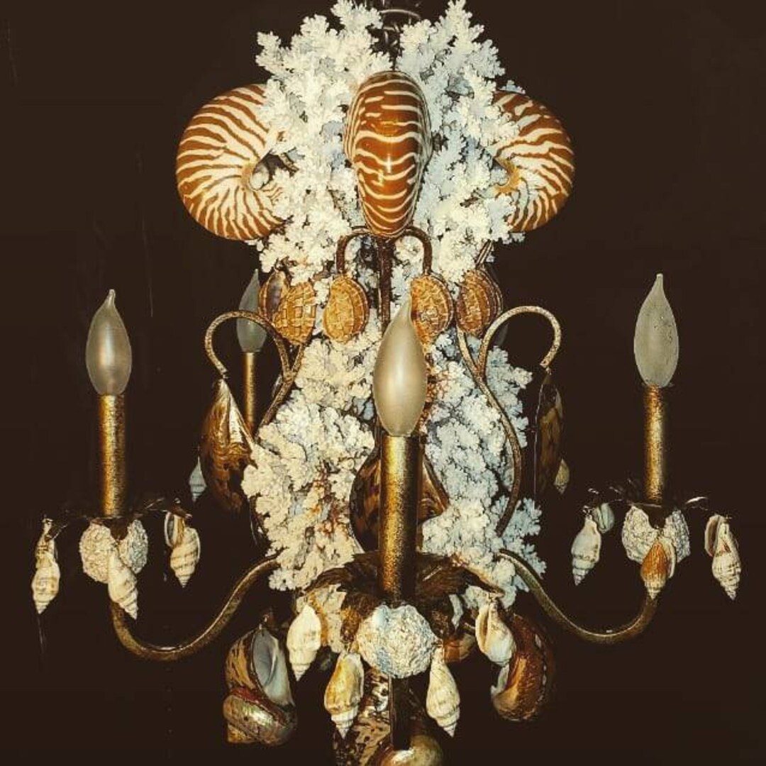Seashell Chandelier. Custom Seashell Chandelier. Seashell and Coral ...