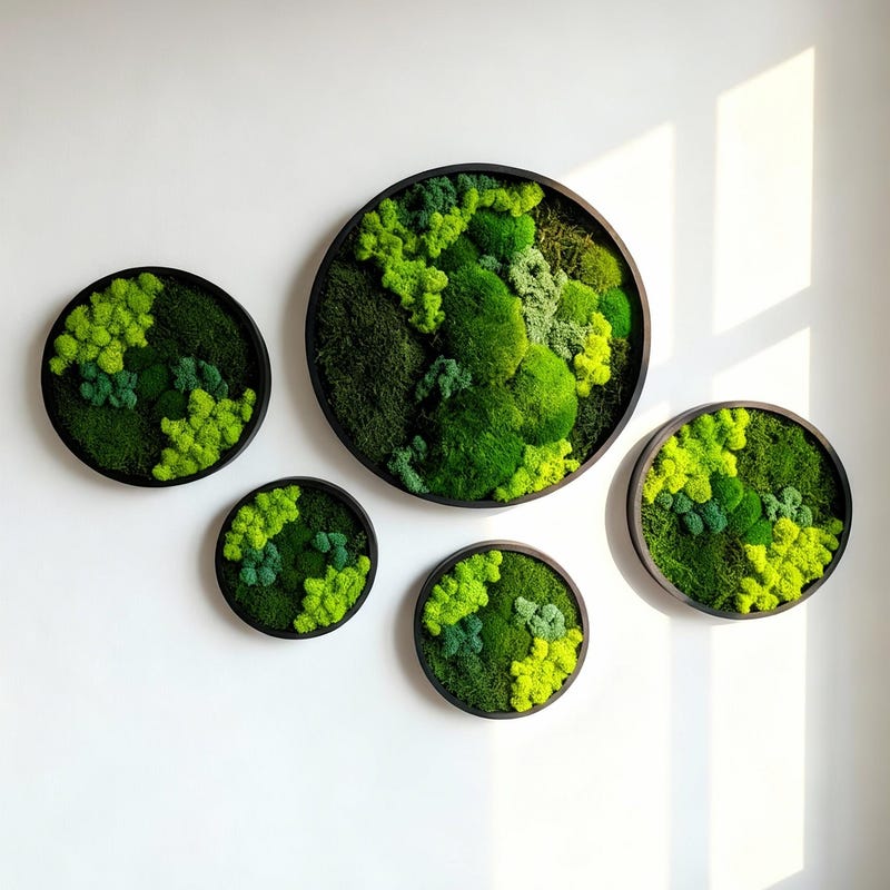 Preserved Moss Tree of Life - Etsy UK