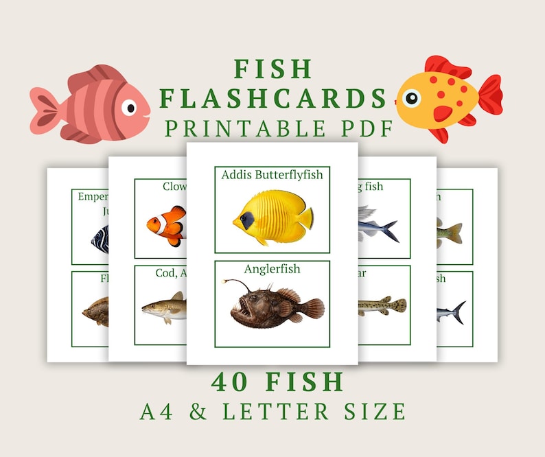 Fish Identification Flashcards, Printable Ocean Animals, Montessori ...