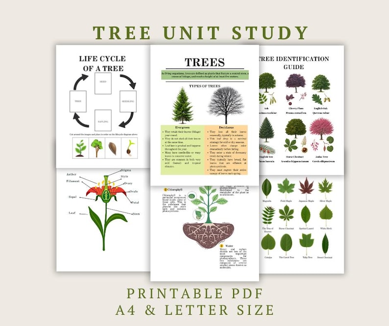 Tree Unit Study: Nature Study, Environmental Science, Homeschool ...